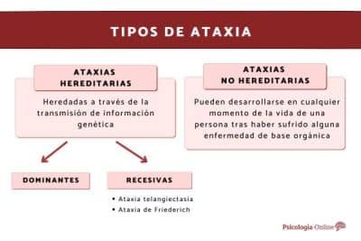Tipos De Ataxia Y Sus Características. Definición – Psicologistica