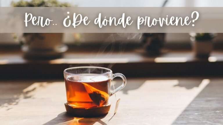 Camellia Sinensis: Descubre Los Secretos Del Té Y Sus Beneficios Para ...