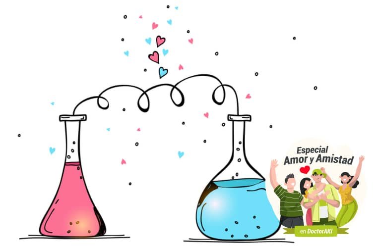 Estar Enamorado: Más Que Una Emoción, Una Reacción Química En Tu ...
